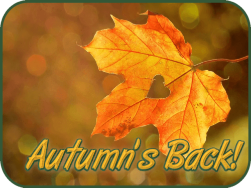 Autumn's Back! | Rob Knowlan