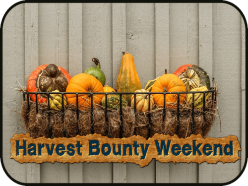 Harvest Bounty Weekend | Rob Knowlan