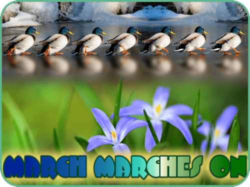 March Marches On | Rob Knowlan