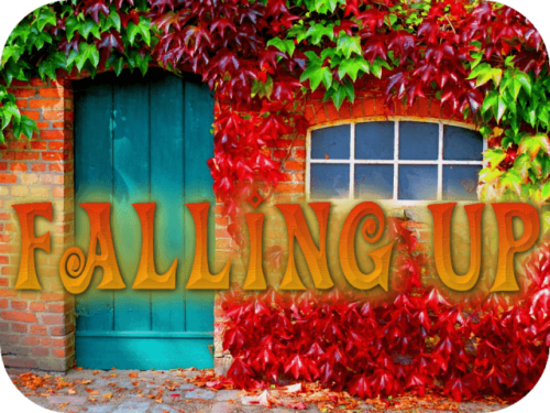 Falling Up | Rob Knowlan