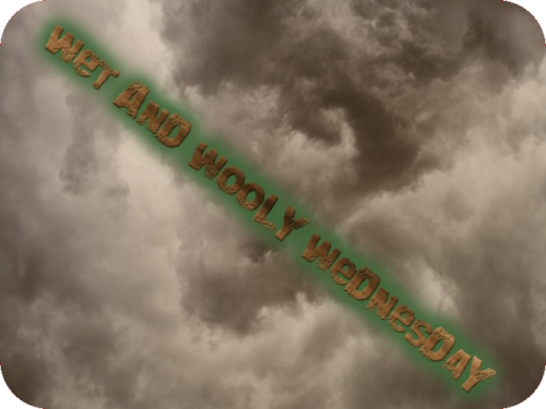 Wet And Wooly Wednesday | Rob Knowlan