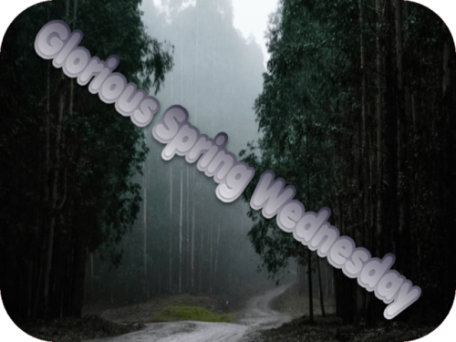 Glorious Spring Wednesday | Rob Knowlan