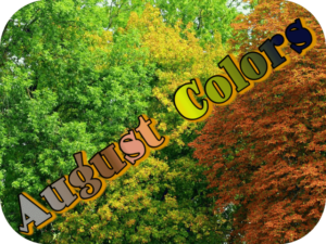 August Colors | Rob Knowlan