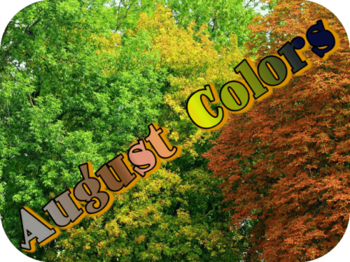 August Colors | Rob Knowlan