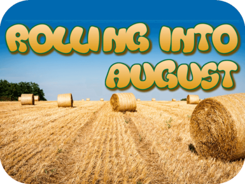 Rolling Into August | Rob Knowlan