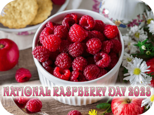 National Raspberry Day 2023 | Rob Knowlan