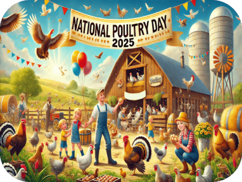 National Poultry Day 2025 | Rob Knowlan